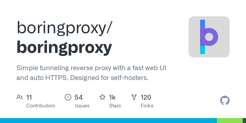 Boringproxy installation help - boringproxy - IndieBits